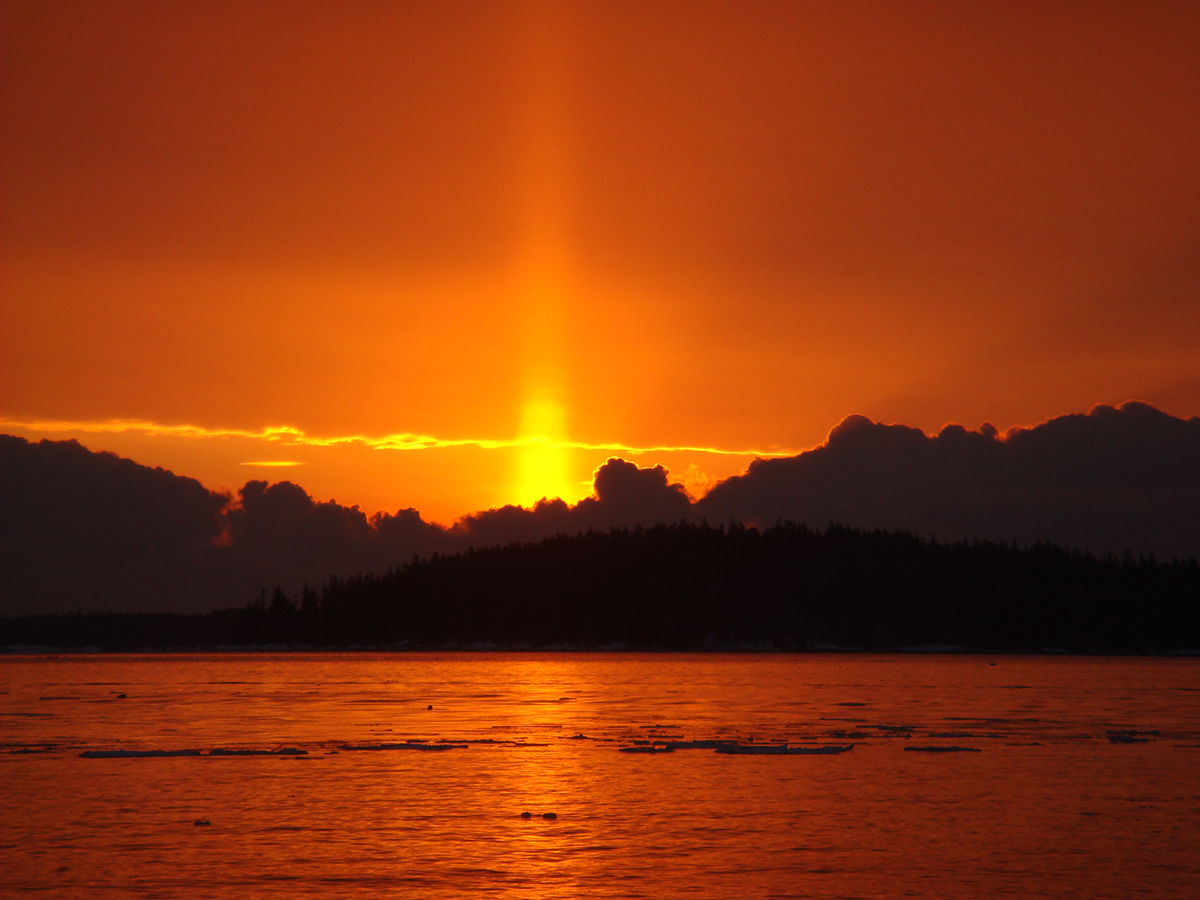 Muir Point - Stonington, Maine - Landvest Blog